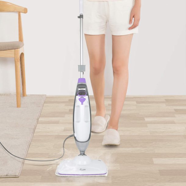 The Best Home Steam Cleaners for 2021- Which One Should You Buy ...