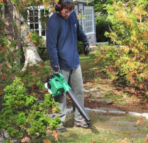 Hitachi RB24EAP Gas Powered Leaf Blower Review- Blast Away Leaves in ...