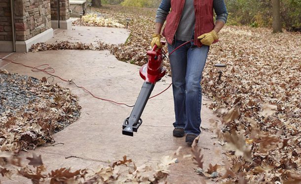 5 Best Commercial Leaf Blower Vacuums To Tackle Dead Leaves & Debris ...
