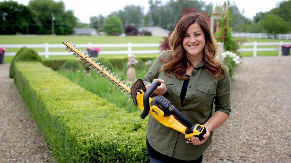DEWALT DCHT820b 20v Max Hedge Trimmer Review | Compact and Precise ...