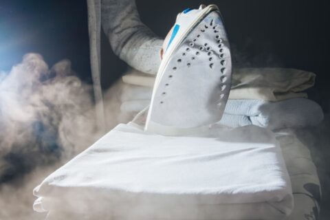 Steam Iron Buyer’s Guide | How to Choose the Right One - Smart Vac Guide