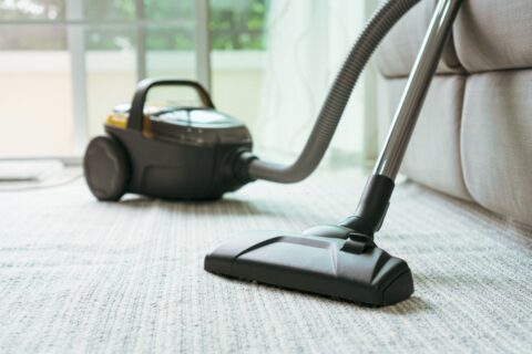 Best Upright HEPA Vacuum Cleaners 2021 Complete Guide and Reviews