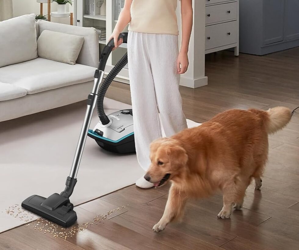 How to Choose the Right Vacuum Cleaner for Your Home: The Complete 2025 ...